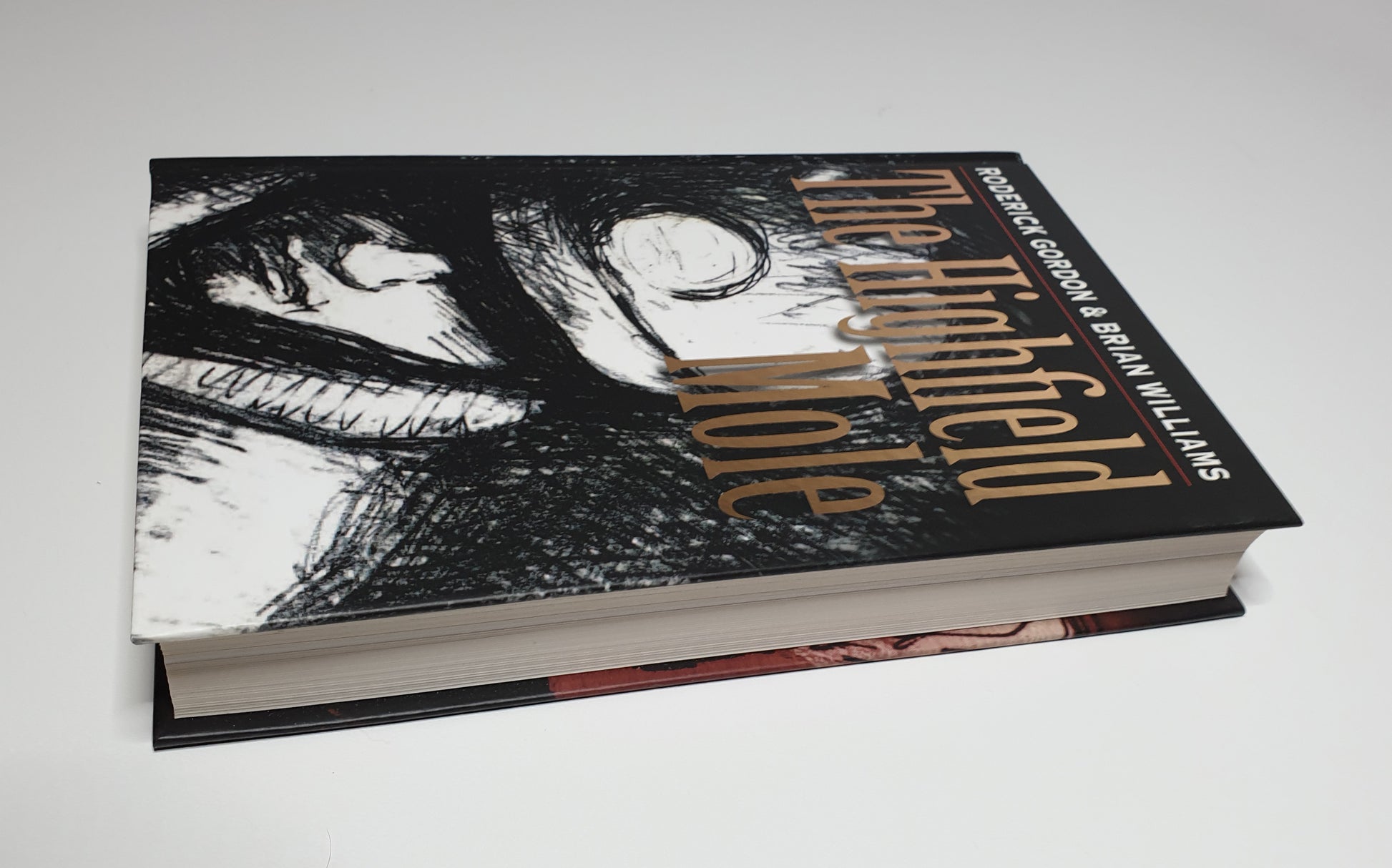 The Highfield Mole - Rare first publication NY Times best selling book ...